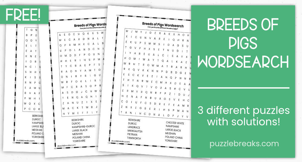 Breeds of Pig Wordsearch Puzzle - Puzzle Breaks - Monstrously Good Puzzles
